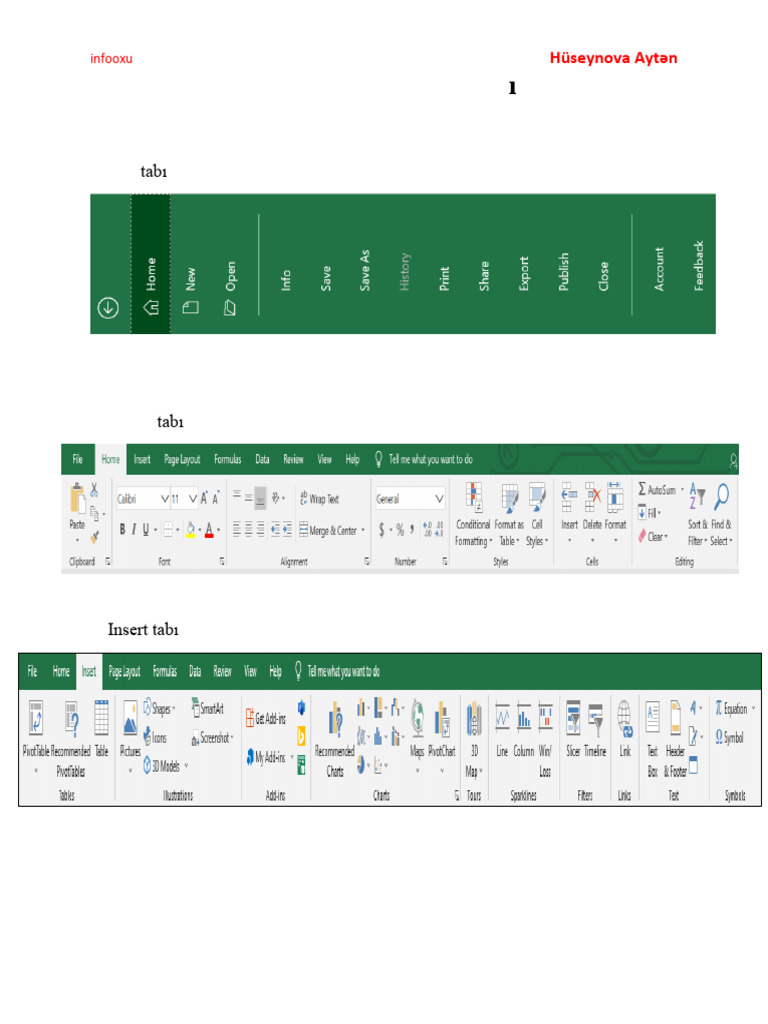 Excel 2019 Lent Tabları | PDF