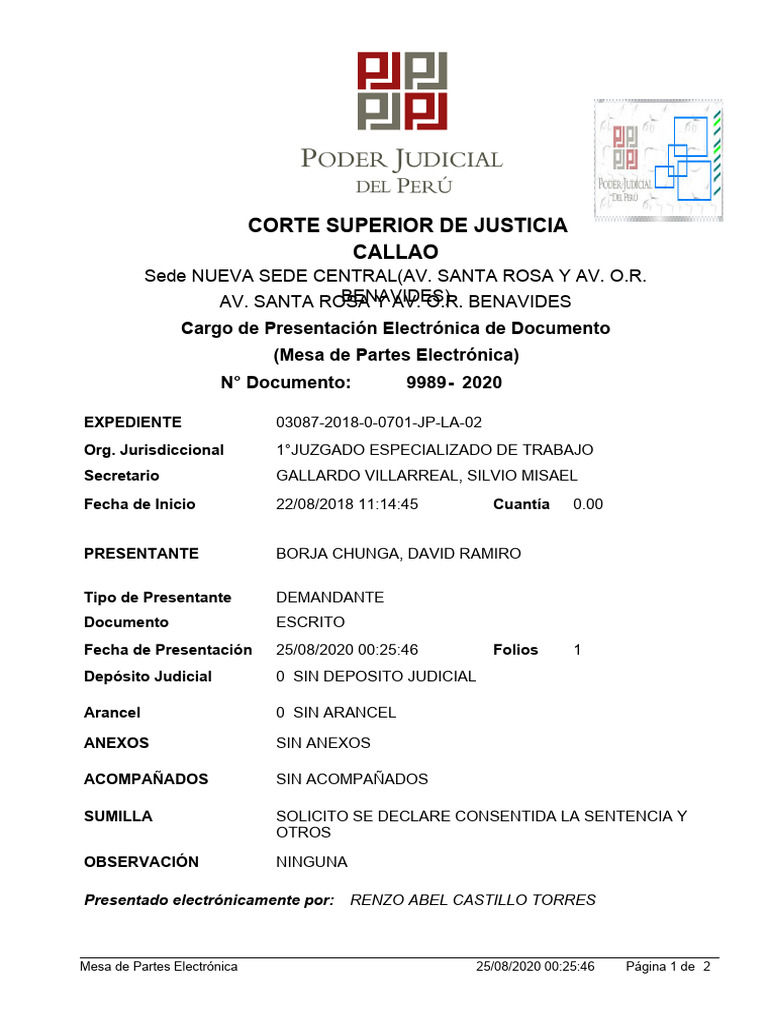 9989-2020 - David Borja | PDF