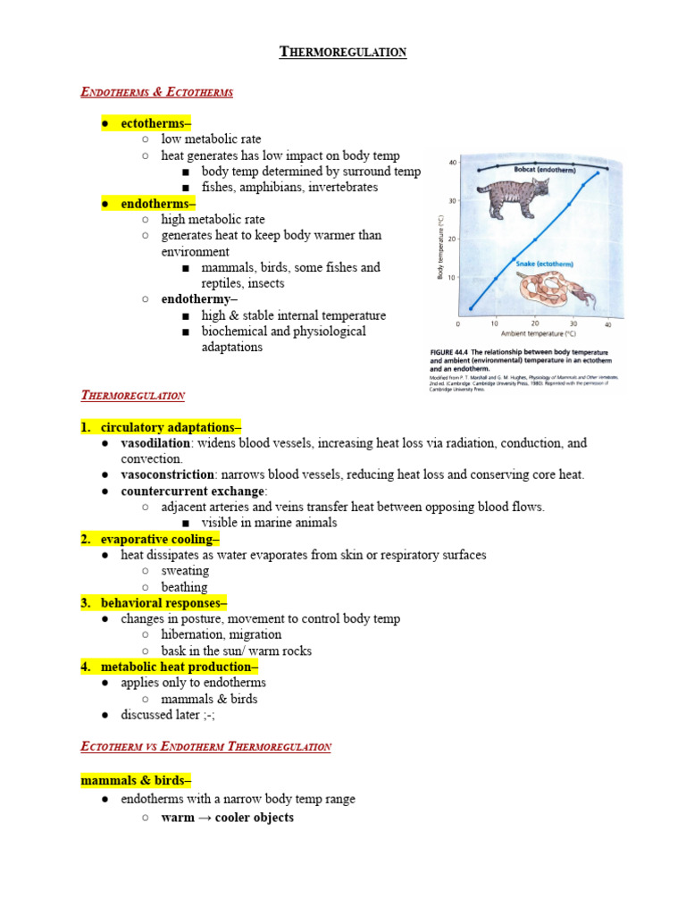 Thermoregulation in Endotherms and Ectotherms | PDF | Thermoregulation ...
