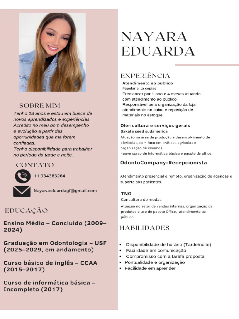 PDF Currículo Atualizado | PDF