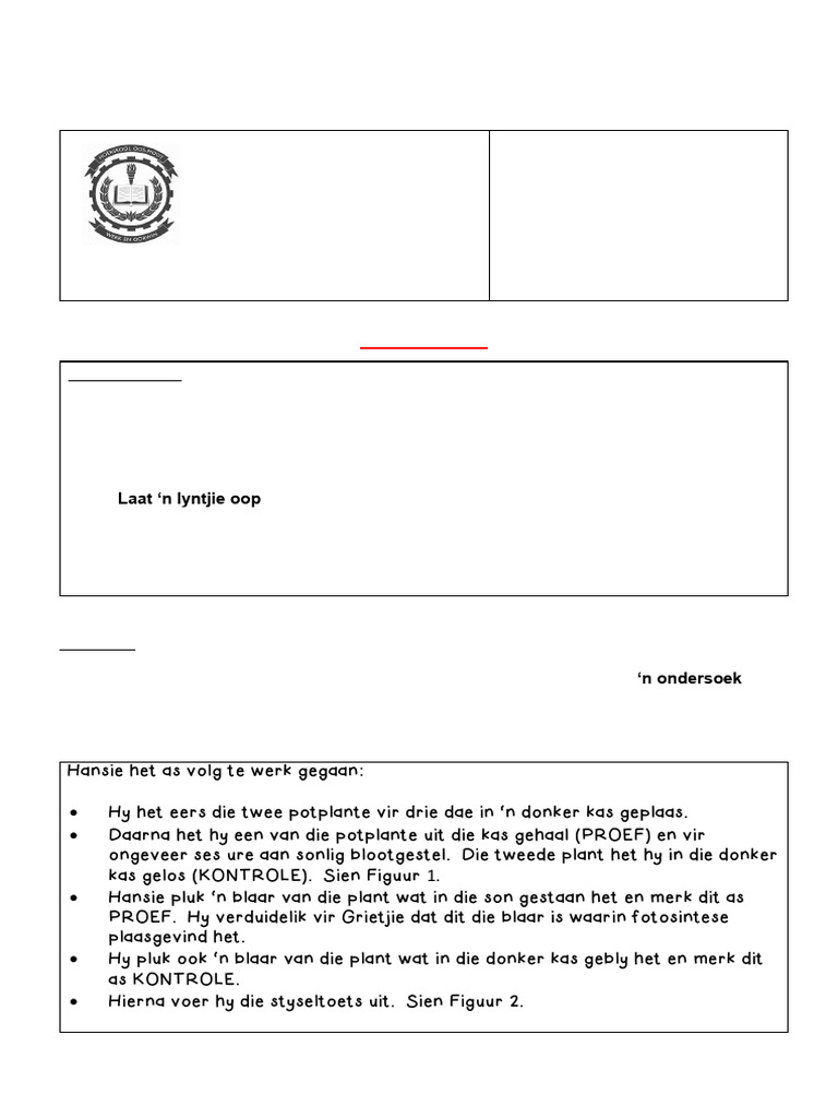 2023 Prakties - MEMO Toets Vir Stysel - Fotosintese | PDF