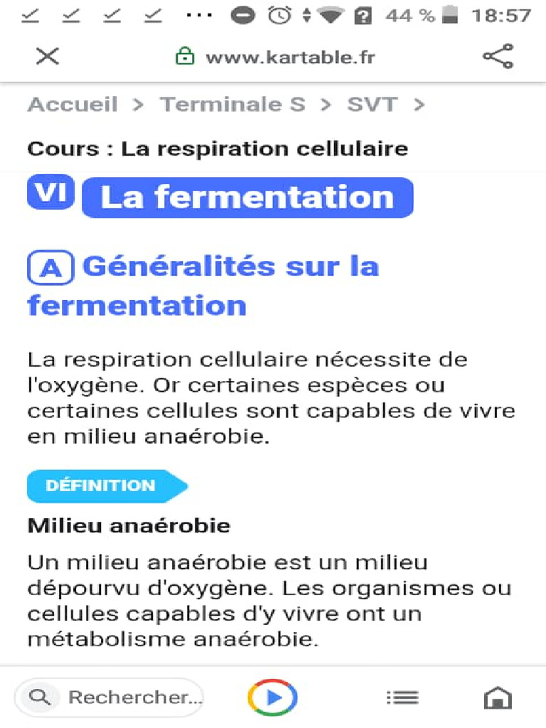 PDF_Phoenix_20250517_180518 | PDF