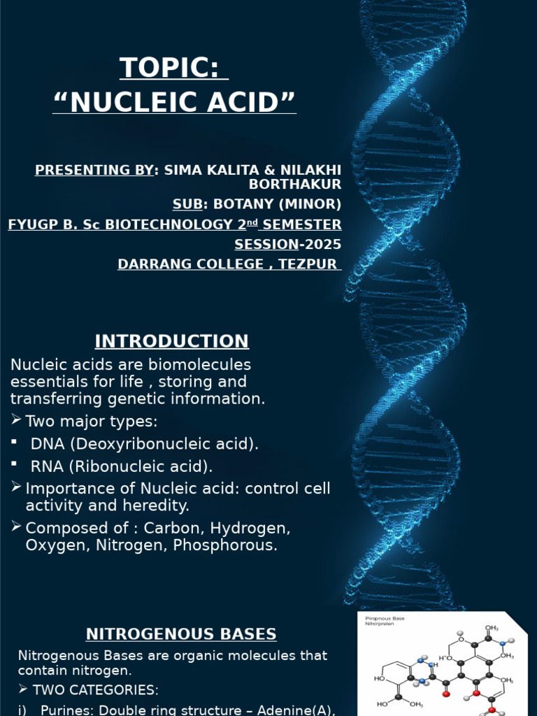 Presentation On Nucleic Acids | PDF | Nucleic Acids | Nucleotides