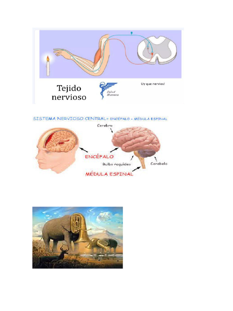 Imagines Historia 2do Medio | PDF