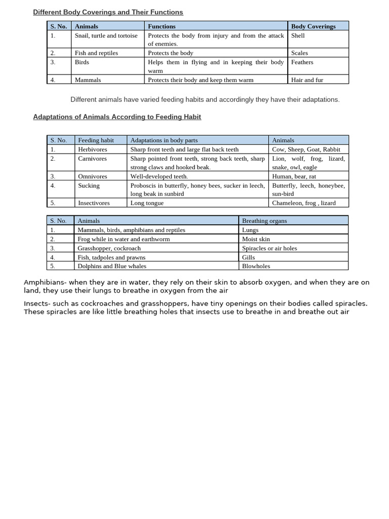 Different Body Coverings and Their Functions | PDF | Tooth | Reptile