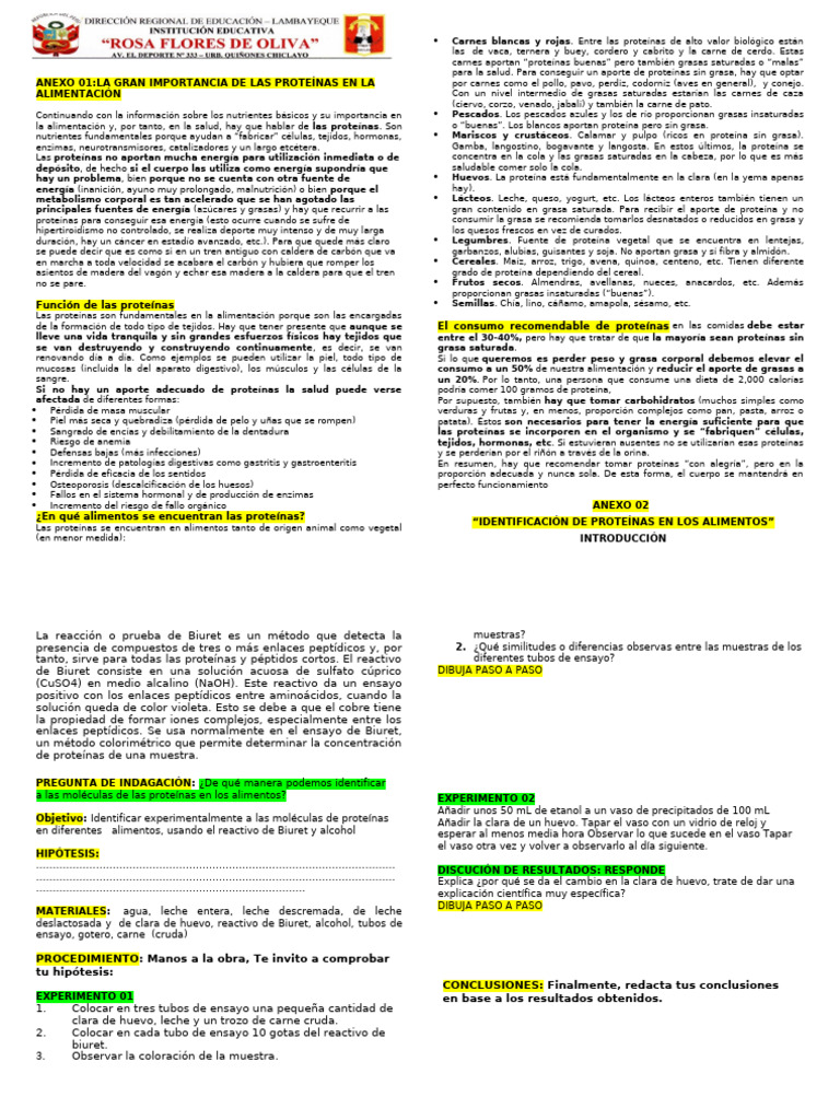 Anexo Sesion 2.3.cyt 4°gdo | PDF