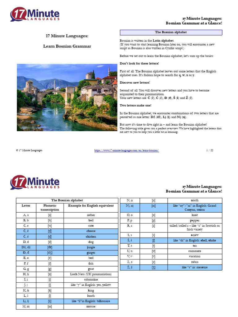 Bosnian Grammar | PDF | Grammatical Gender | Grammatical Tense