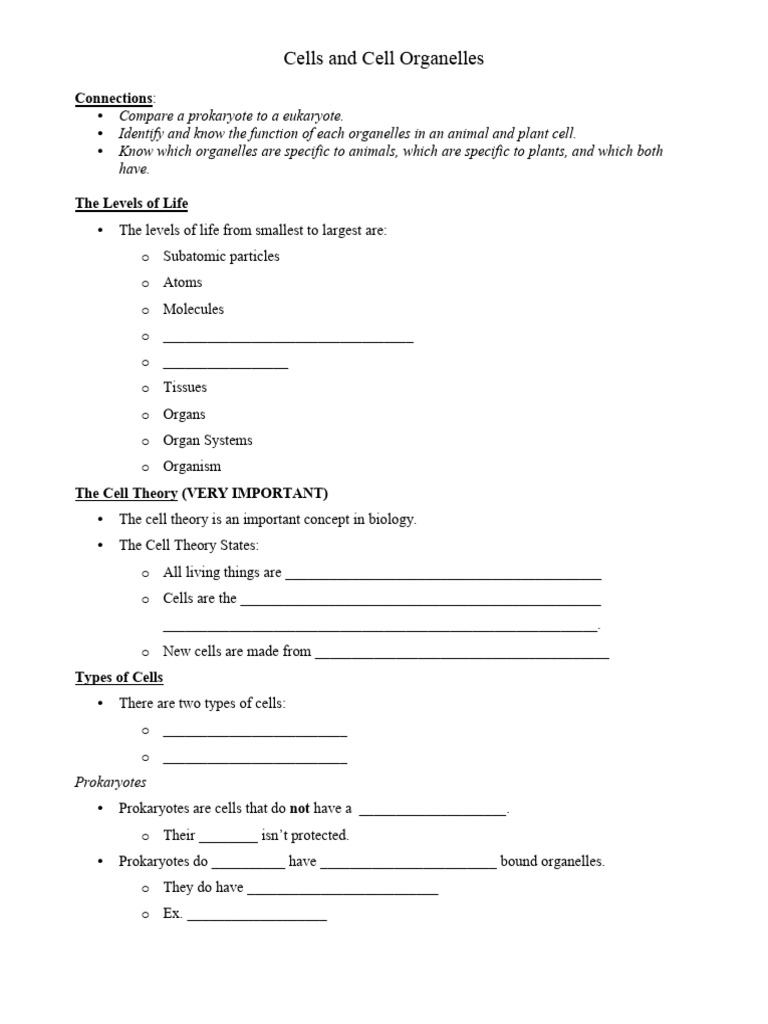 BIO 101 - Cell Organelle Practice Test | PDF | Endoplasmic Reticulum ...
