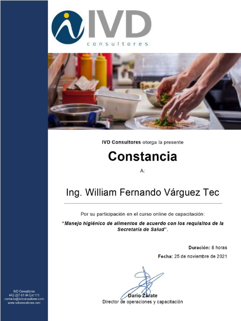 IVD Consultores Constancia | PDF