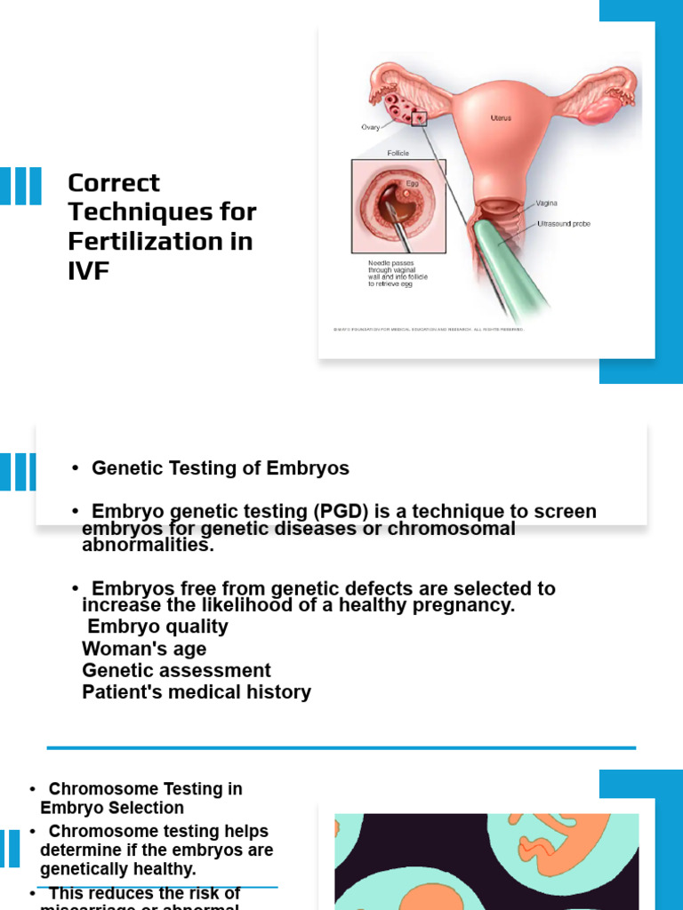 CH 7 Correct Techniques for Fertilization in IVF | PDF | In Vitro ...