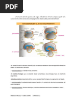 Persistencia del Conducto Onfalomesentérico | PDF | Anatomía ...