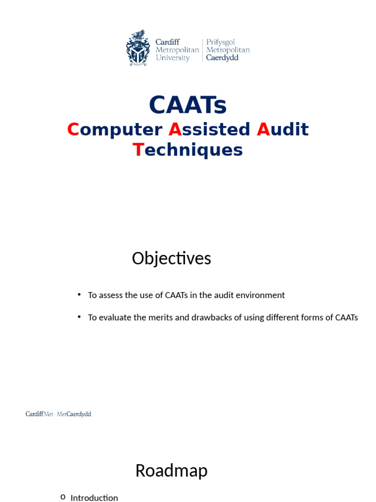 BAA6003 17 CAATs NEU | PDF | Audit | Software
