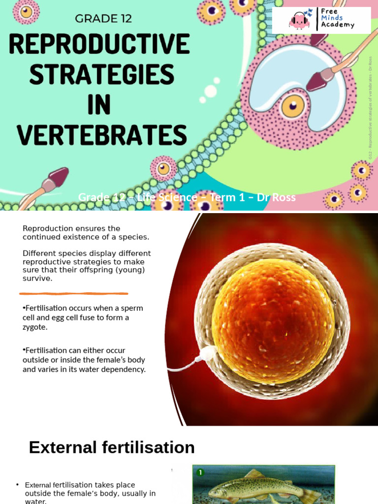 7 - Reproductive Strategies in Vertebteas - G12 - Term 1 | PDF | Egg ...