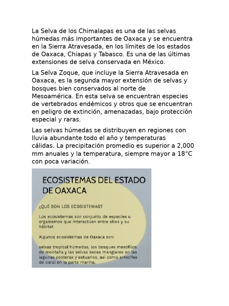 La Selva de Los Chimalapas | PDF