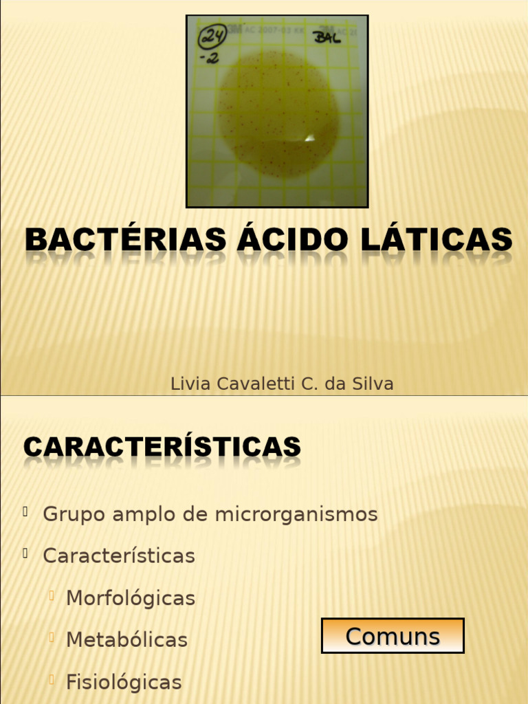 4 - Bactérias Acido Láticas | PDF | Leite | Carne