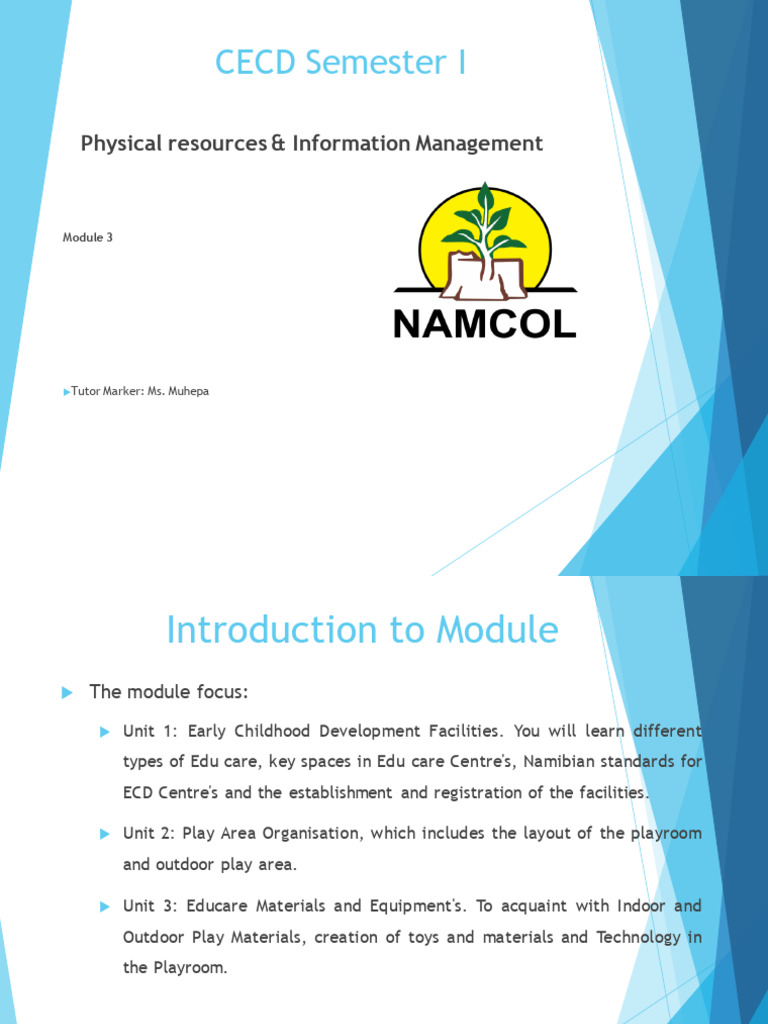 Types of Physical Resources in ECD | PDF | Toys | Seam (Sewing)