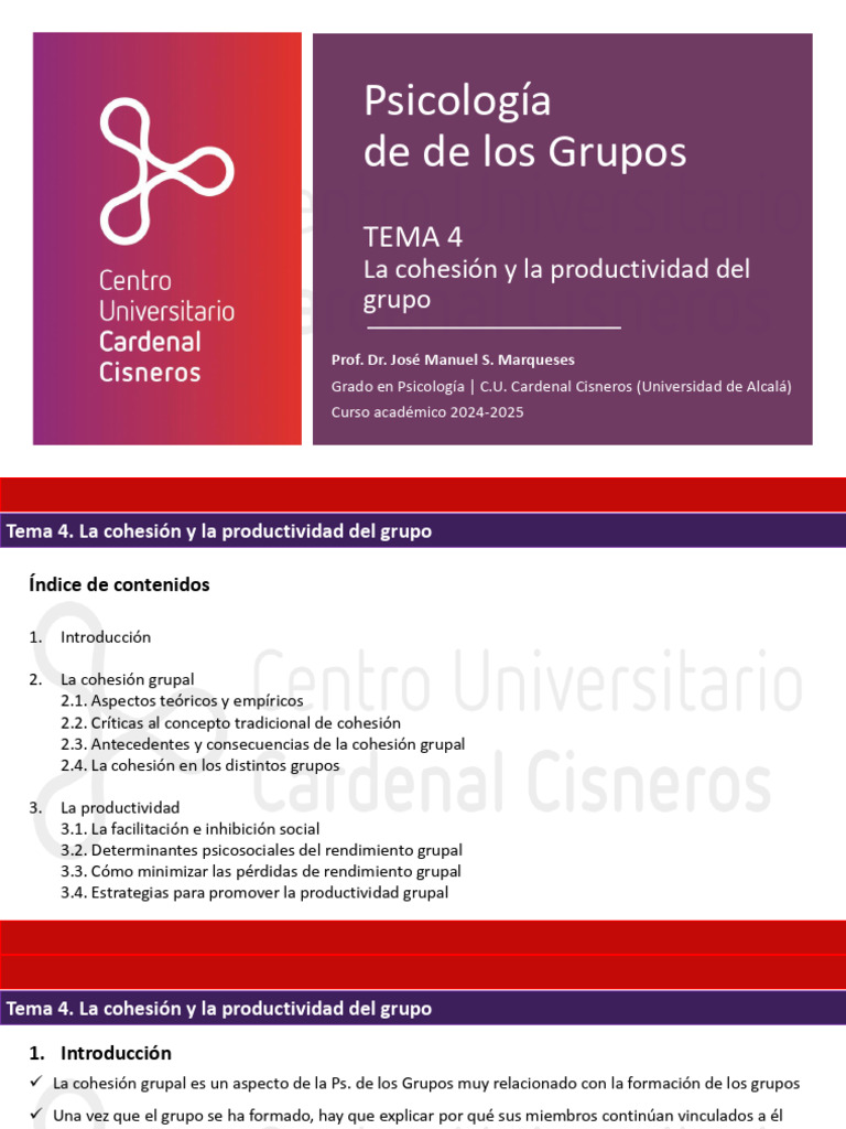 Tema 4. La Cohesión y La Productividad Del Grupo - CV | PDF | Cohesión grupal | Motivación