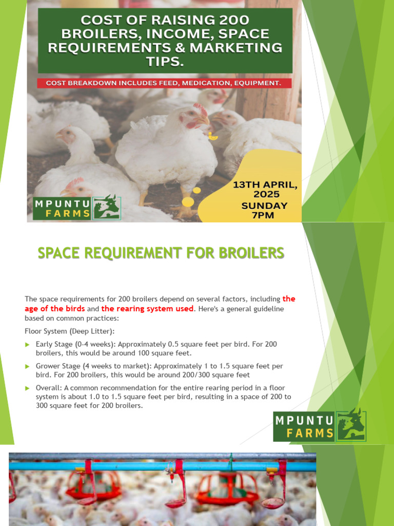 Space Requirements for 200 Broilers | PDF | Marketing | Broiler