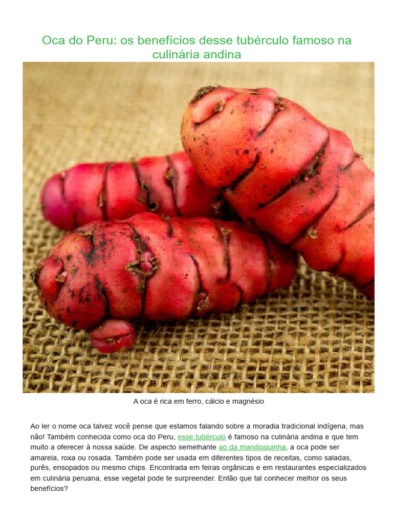 Oca do Peru os benefícios desse tubérculo famoso na culinária andina | PDF