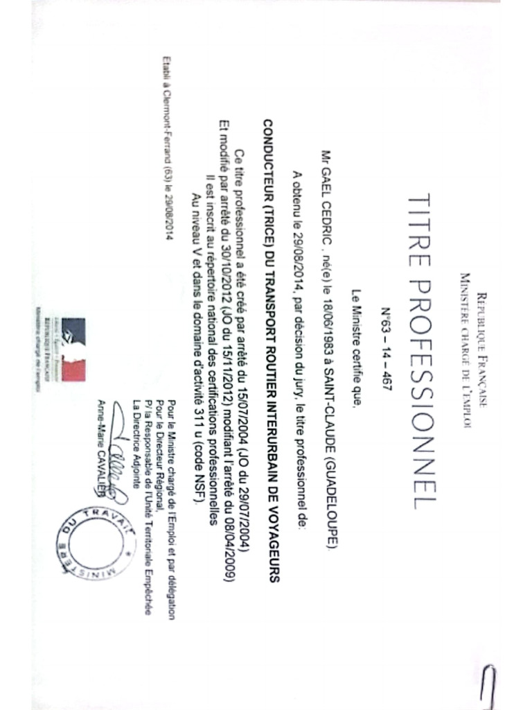 Titre Professionnel Voyageurs Gaël Cédric | PDF