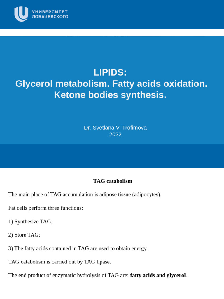 Lecture 17 Lipids | PDF | Biosynthesis | Mitochondrion