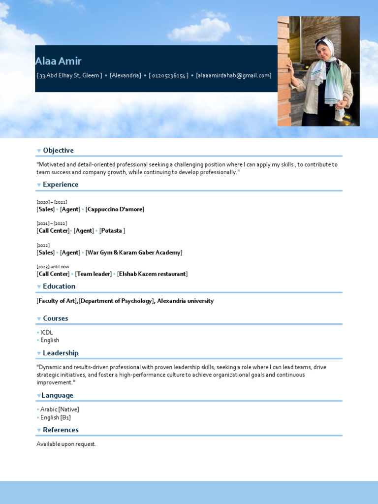 Alaa Amir CV | PDF