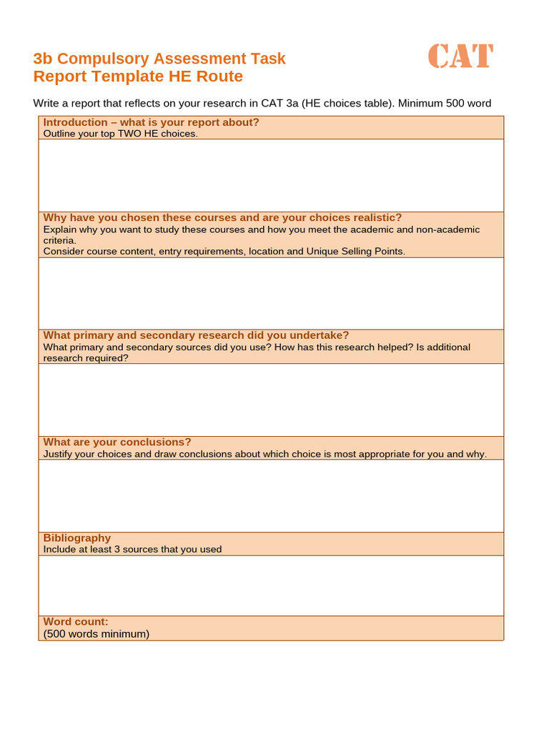 Cat 3 B Report Template He | PDF