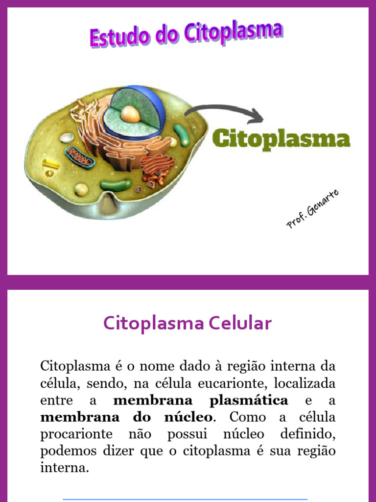 2 Aula - Estudo Do Citoplasma | PDF | Citoplasma | Célula (Biologia)