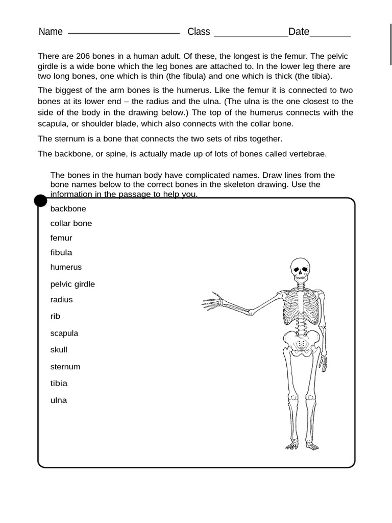 Science Worksheet 1 | PDF