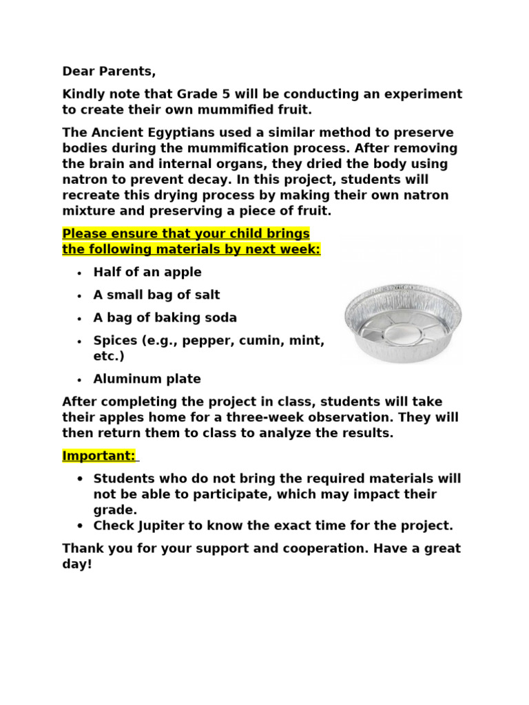Grade 5 Mummification Project - Required Materials | PDF