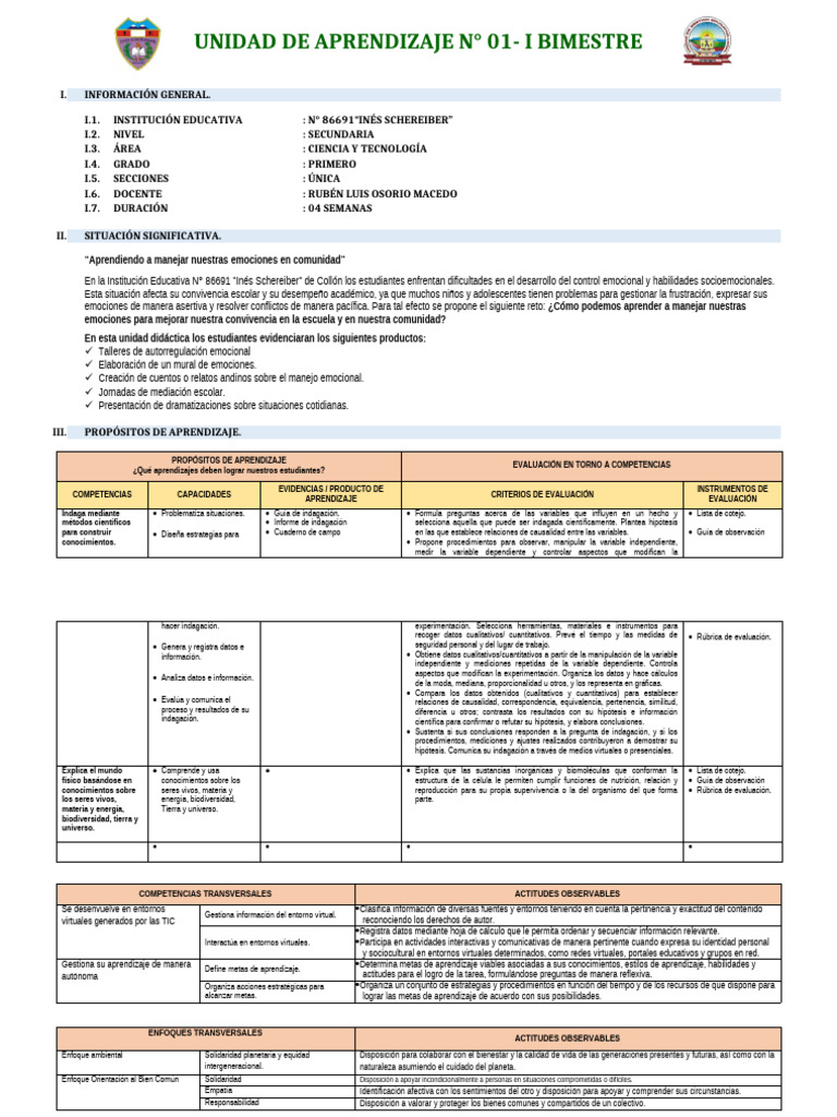 ESQUEMA DE UNIDAD DE APRENDIZAJE | PDF | Aprendizaje | Las emociones