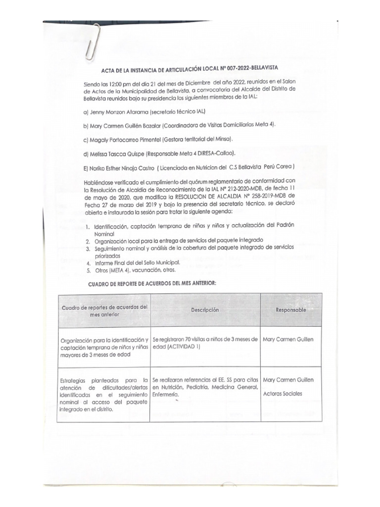 EJEMPLO DE ACTA IAL | PDF