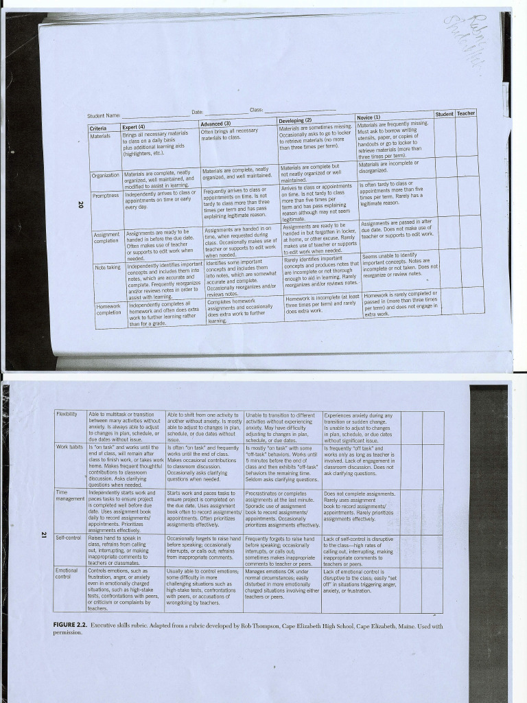 Executive Function Rubric | PDF