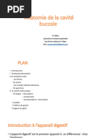 Anatomie et Fonction de la Langue | PDF | Langue | Anatomie humaine