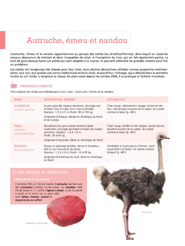 Autruche, Émeu Et Nandou | PDF