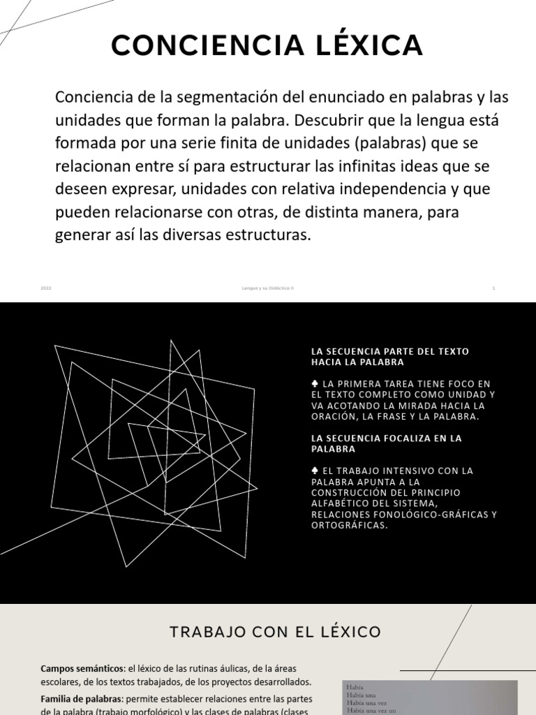 Conciencia Léxica | PDF | Palabra | Lingüística
