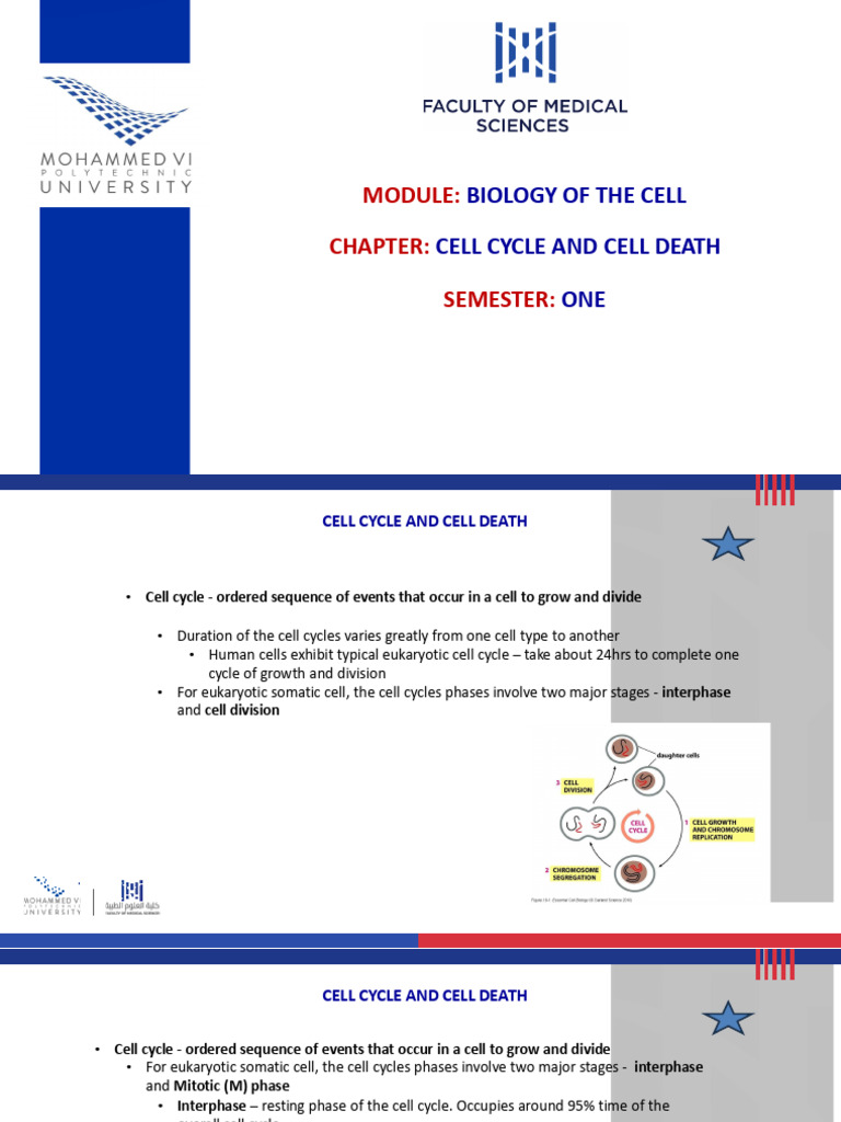 APOPTOSIS AND CELL DEATH (2) | PDF | Mitosis | Cell Cycle