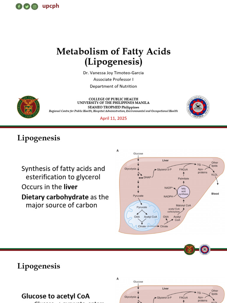 Lipogenesis and Fatty Acid Synthesis | PDF | Fatty Acid | Triglyceride