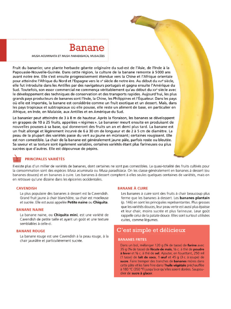 Banane | PDF