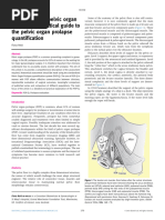 Delancey's Support Levels in Pelvic Anatomy | PDF | Vagina | Pelvis