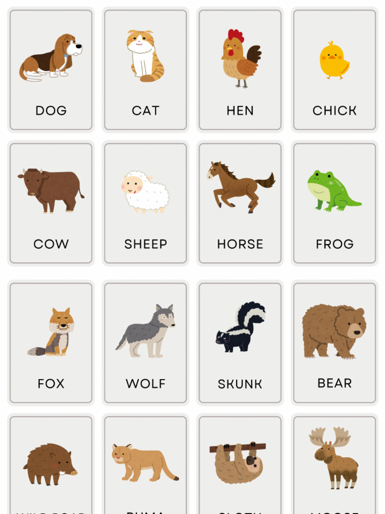 Animal Vocabulary Flashcards in Colorful Illustrative Style | PDF