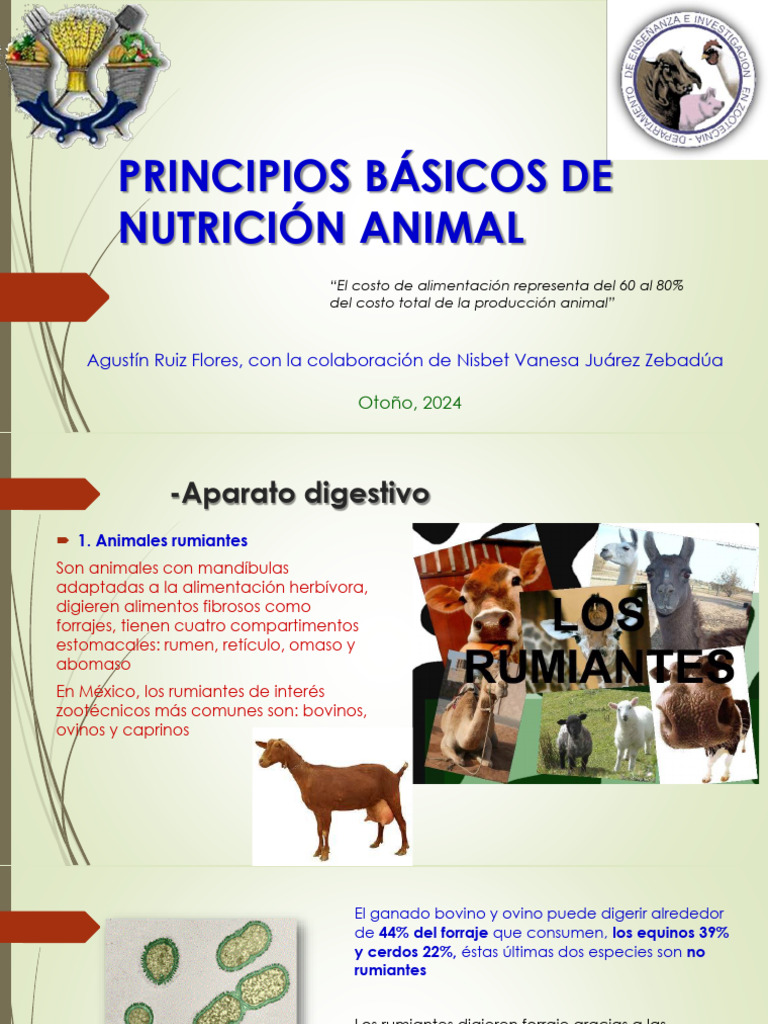 2 Principios Básicos de Nutrición Animal | PDF | Digestión | Rumiante