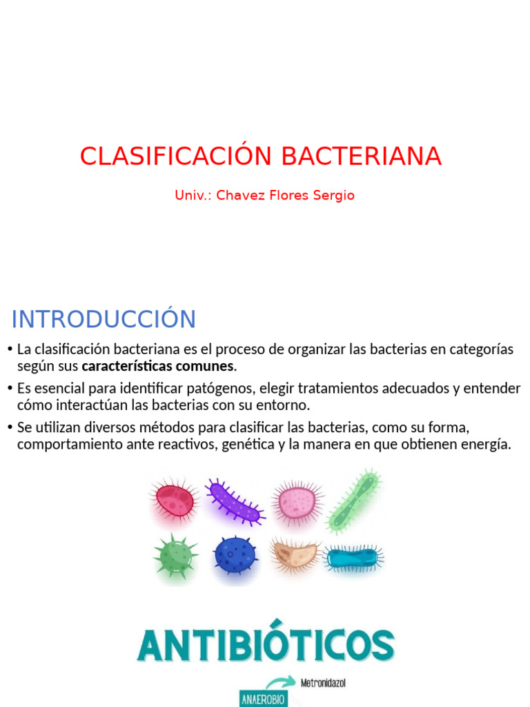 Clasificación de Las Bacterias | PDF | Las bacterias | Bacterias Gram-negativo