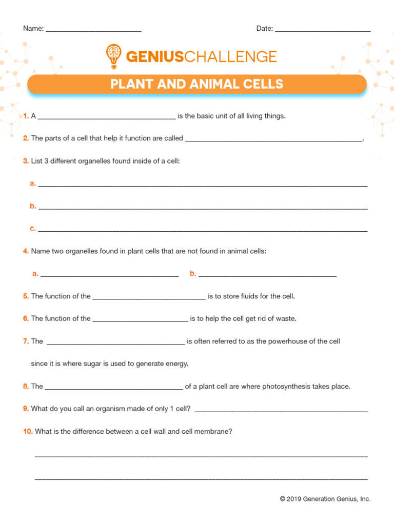 Nickardo Minott (Student) - GG-Plant-and-Animal-Cells-Quiz - Rev2 | PDF
