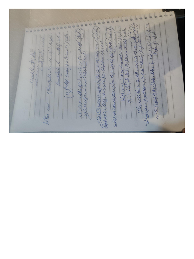 Junkie Burger Notes | PDF
