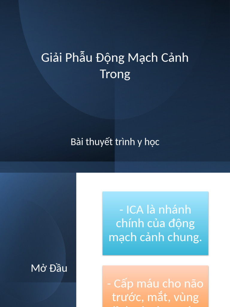 Giai Phau Dong Mach Canh Trong Hoanthien | PDF