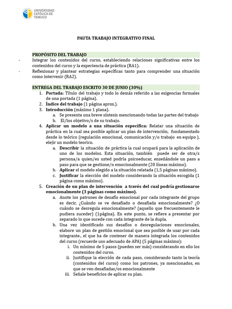 Pauta Trabajo Integrativo Final de Curso | PDF | Aprendizaje | Cognición