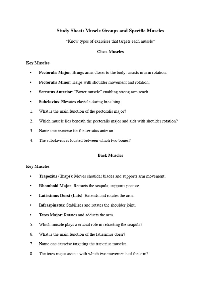 Study Sheet Muscle Group and Specific Muscles | PDF | Human Anatomy ...