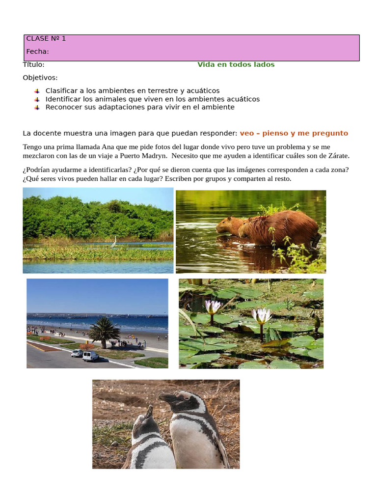 Actividades Didácticas sobre Humedales | PDF | Agua | Humedal