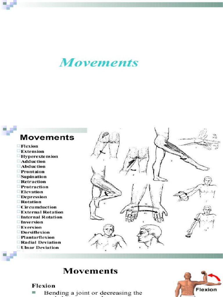 Anatomy Introduction2 Pdf